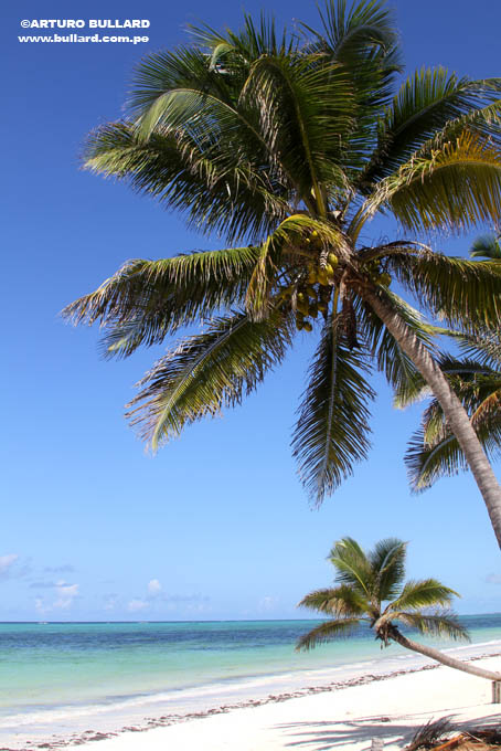 Llegando a la Isla de Zanzíbar, Un Paraíso en el Mar Indico : Viajes ...