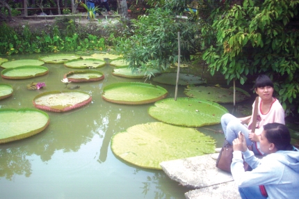 Chùa Việt Nam: Chùa Phước Kiển (chùa Lá Sen, Đồng Tháp)