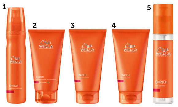.: WELLA PROFESSIONALS RENOVA LINHAS DE TRATAMENTOS - CONFIRA NO R & R ...