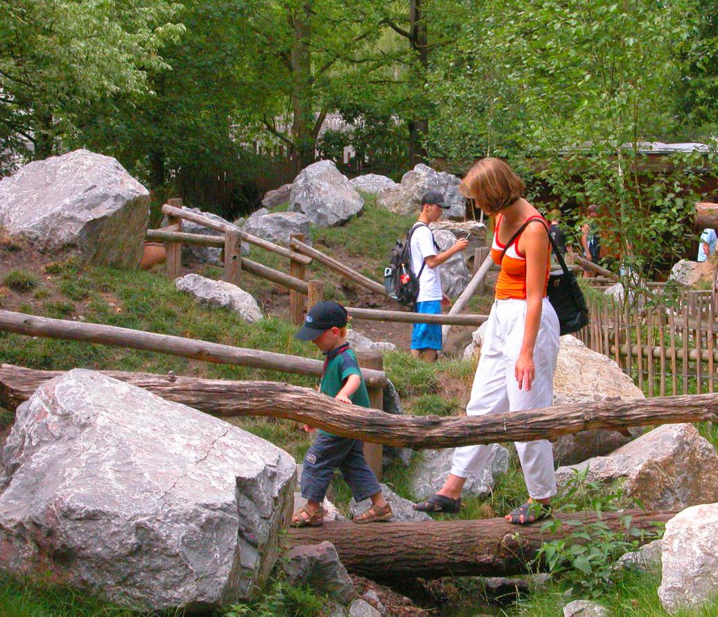 Zoo and Aquarium Design: Children's Paths: A How to Guide