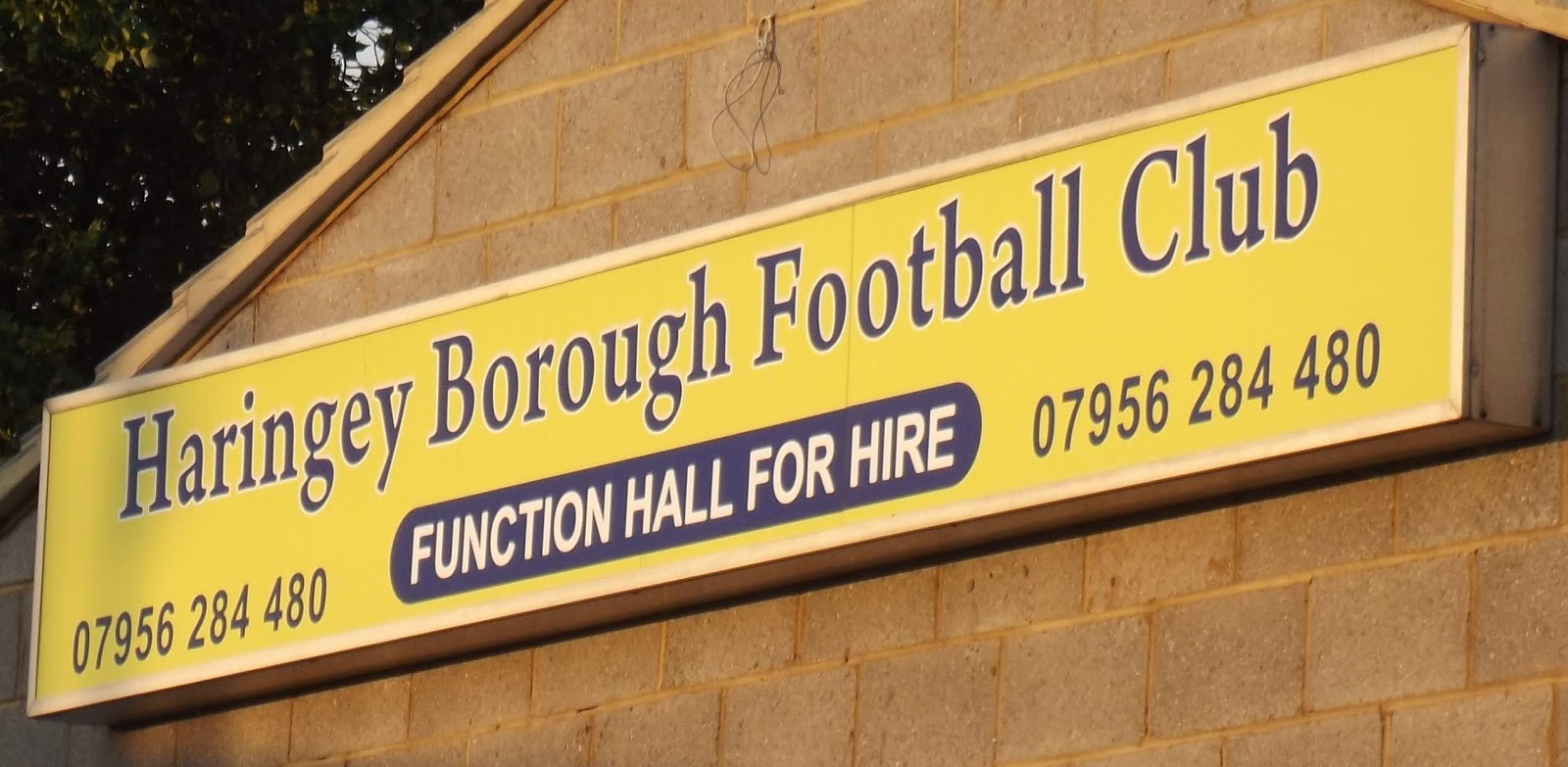 The Wycombe Wanderer: Haringey Borough FC - Coles Park