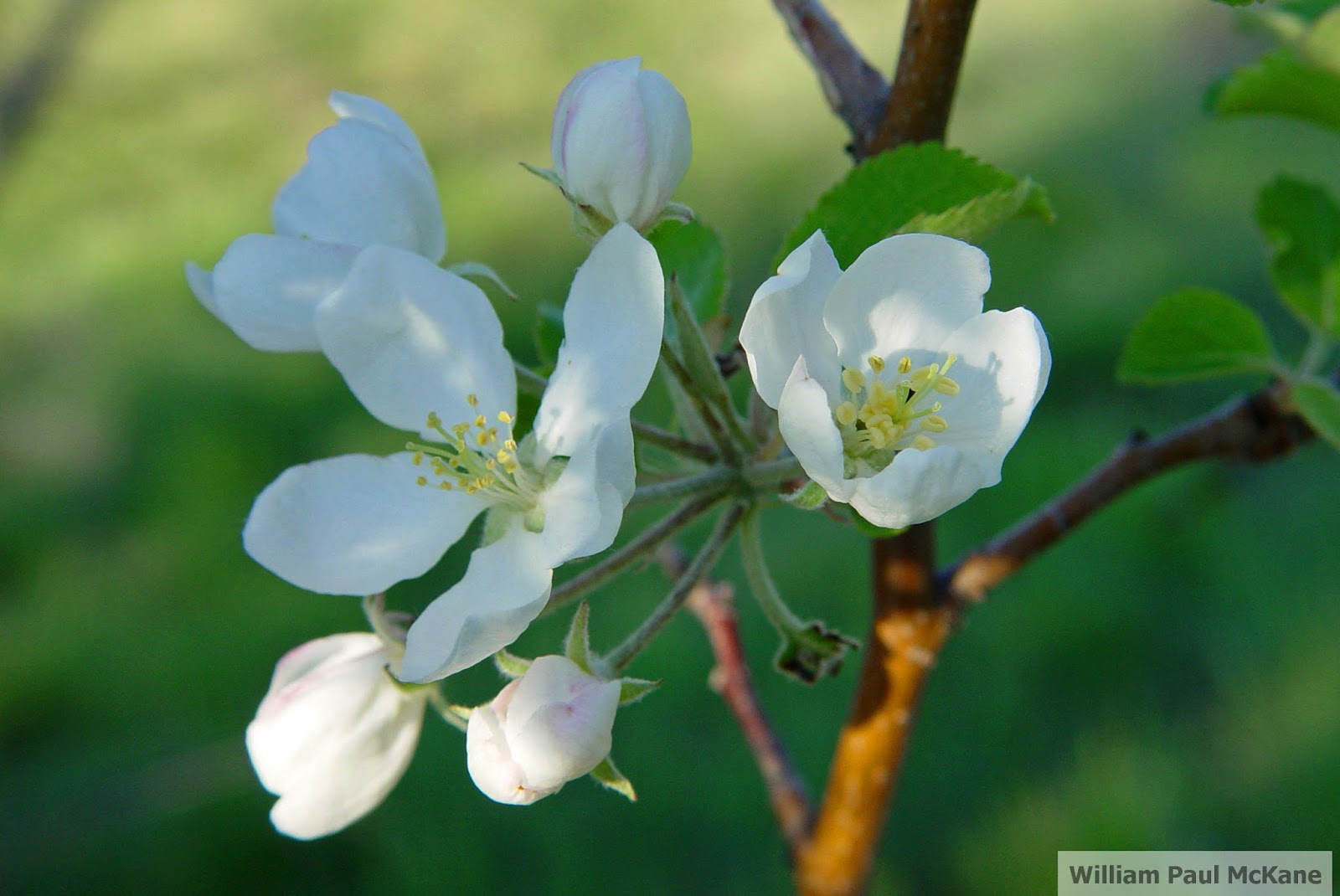 Zetesis - ζήτησις: A Brief Introduction to Contemplative Prayer For Our ...