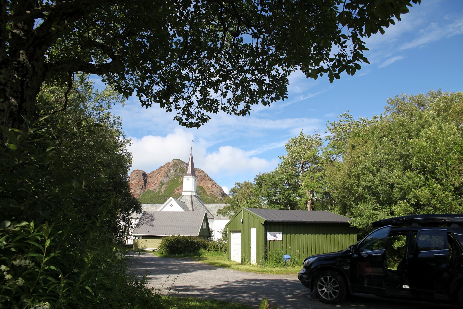 Svalbardliv: Rause Rødøy