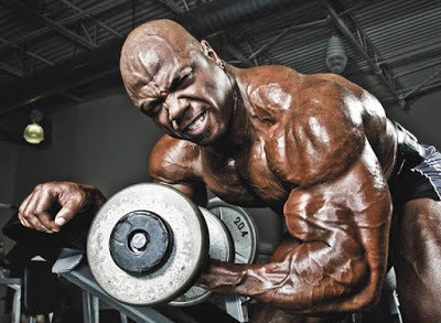 world bodybuilders pictures: united states of american bodybuilder ...