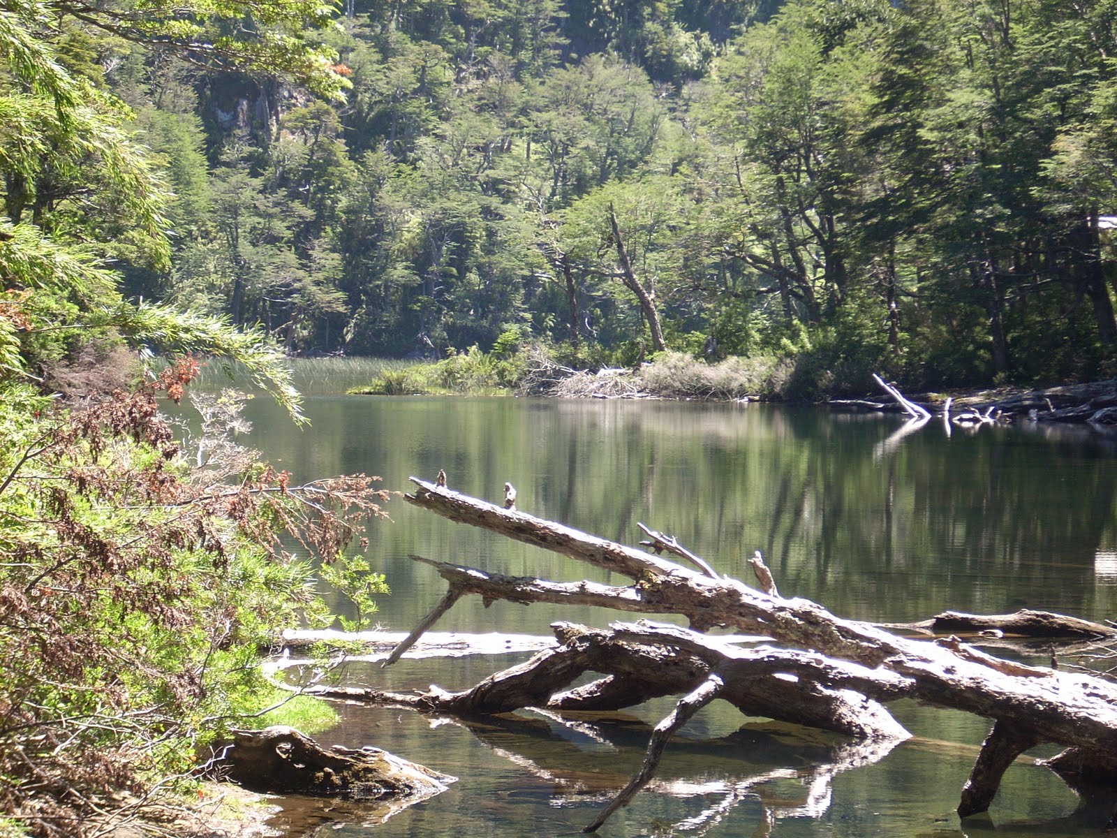 PARQUE NACIONAL HUERQUEHUE