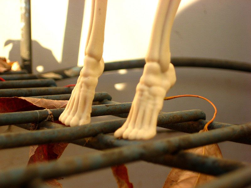 Voicething: Review: Skelita Calaveras - Scaris Deluxe