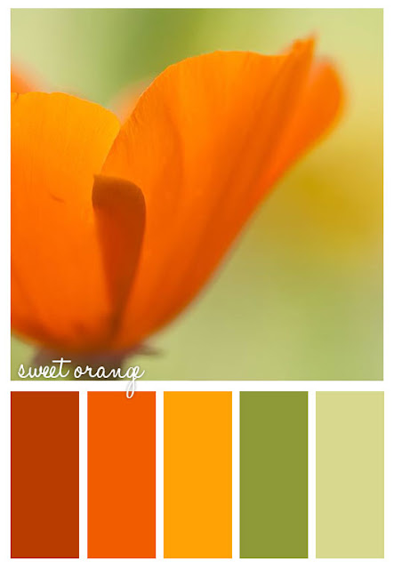 Sweet Orange - Gold On The Ceiling