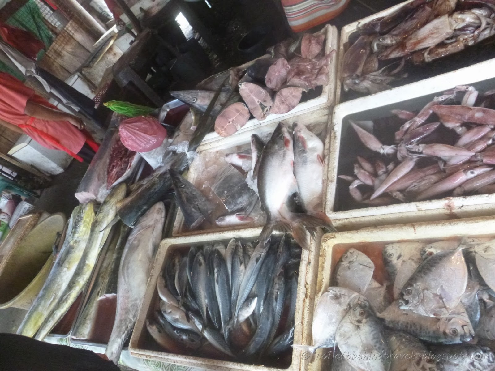 No one left behind: The Dingalan Redemption - Day 2: Matawe Beach