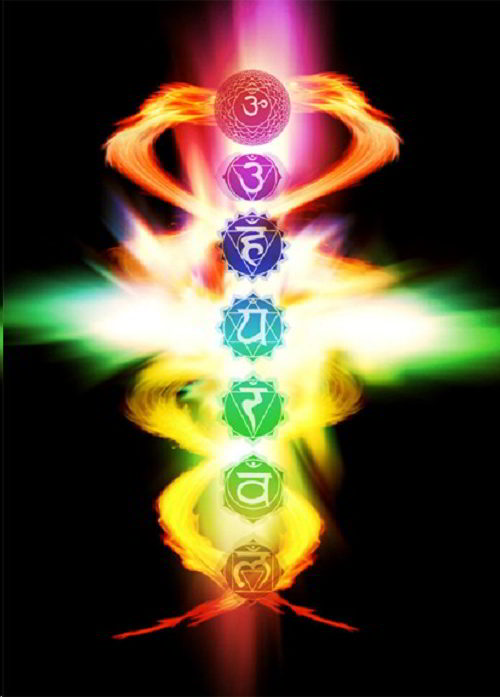 HA LLEGADO LA LUZ: EL CHACRA DEL TIMO