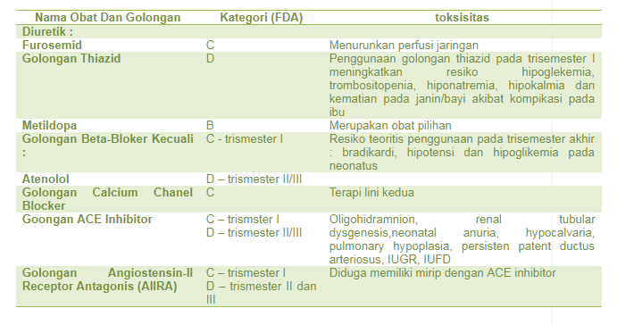 Pemberian Obat Pada Ibu Hamil dan Menyusui - Yudi Hartono