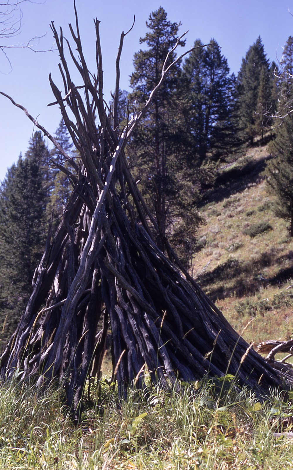Cowboy Kisses: The Sheepeater Indians of Yellowstone