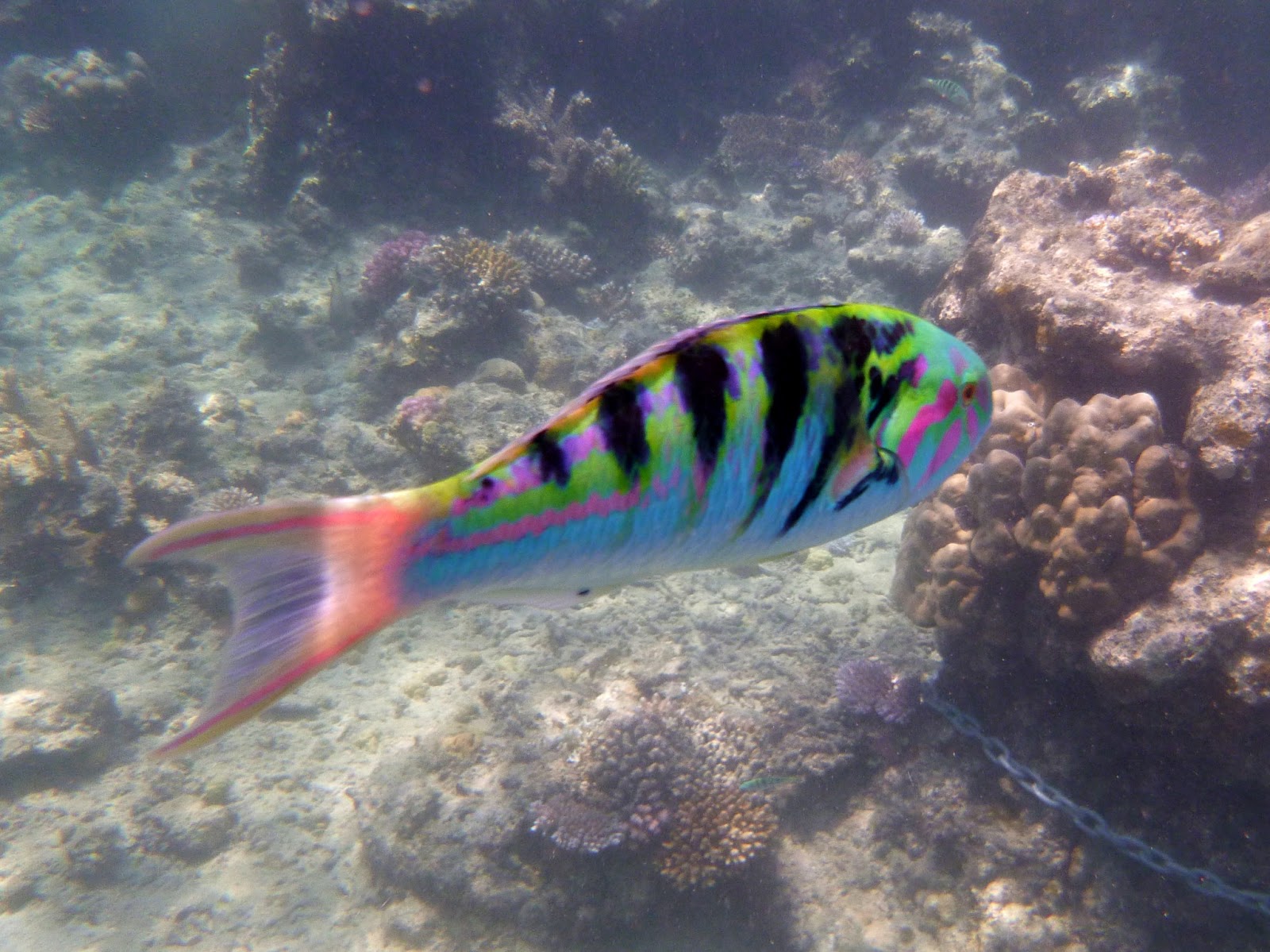 GeoNet - Shaken not stirred: Exploring Vanuatu