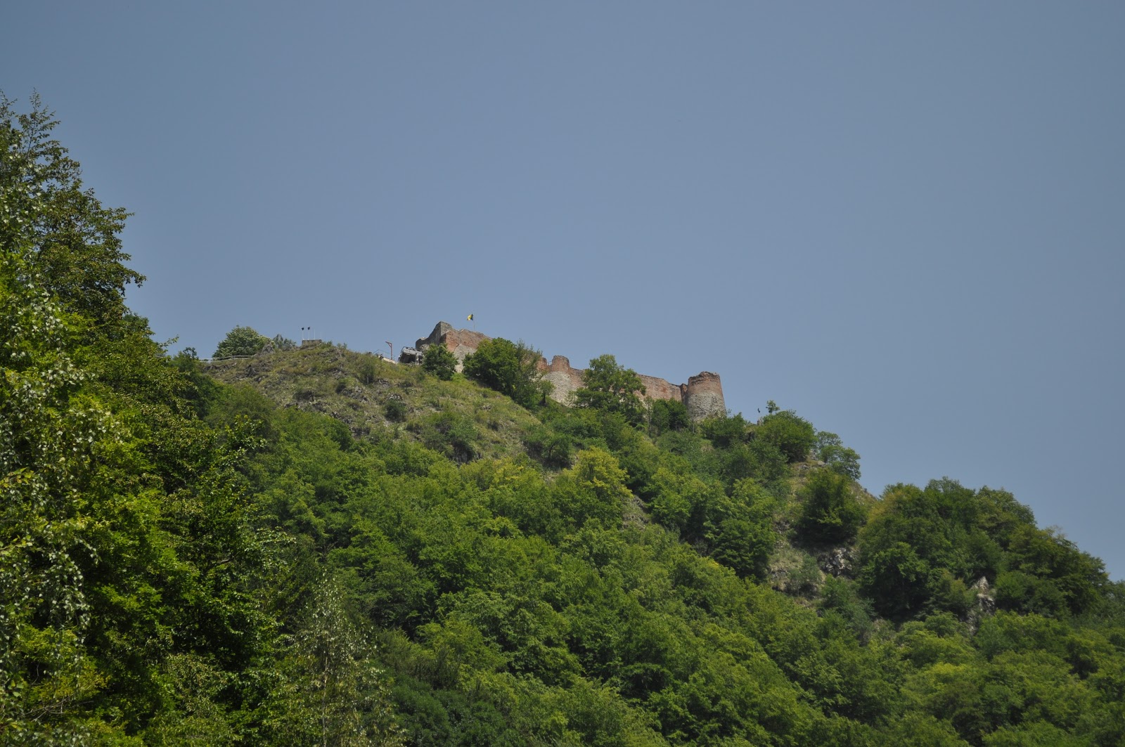 Poze, Natura, Animale, Plante, Romania, Valcea, Ionut Ungureanu