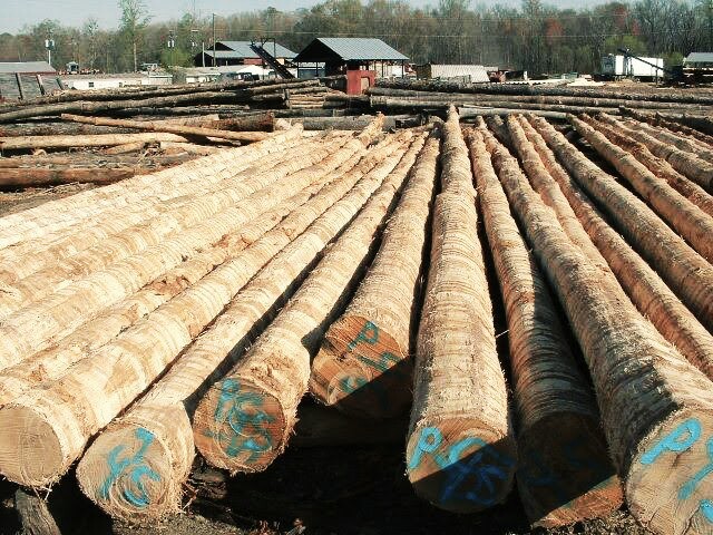 Jenis - jenis Pondasi Berdasarkan Kedalamannya - Arsitur Studio