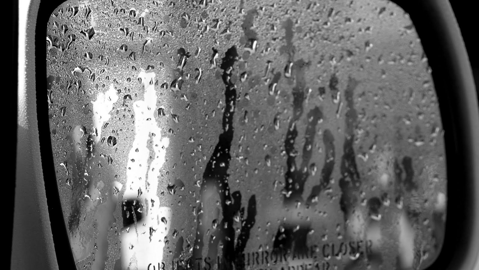 birdman photos: Moist Mirror