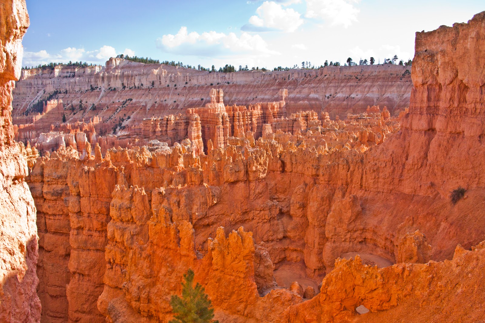 Walking Arizona: A Hoodoo Maze
