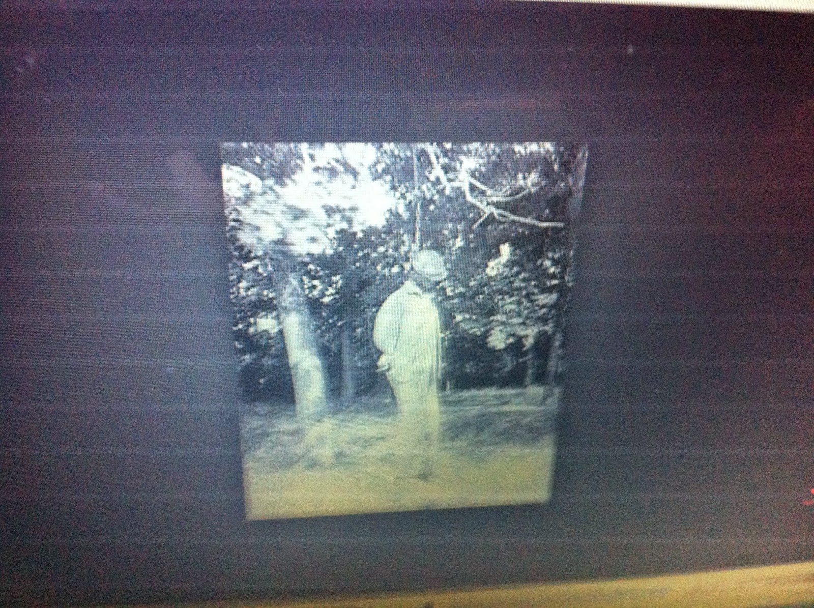 THE BLACK SOCIAL HISTORY:: BLACK SOCIAL HISTORY : AFRICAN AMERICAN ...