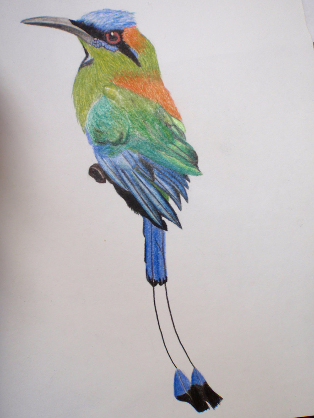 Una palabra al día: de la "A" a la "Z": abril 2013