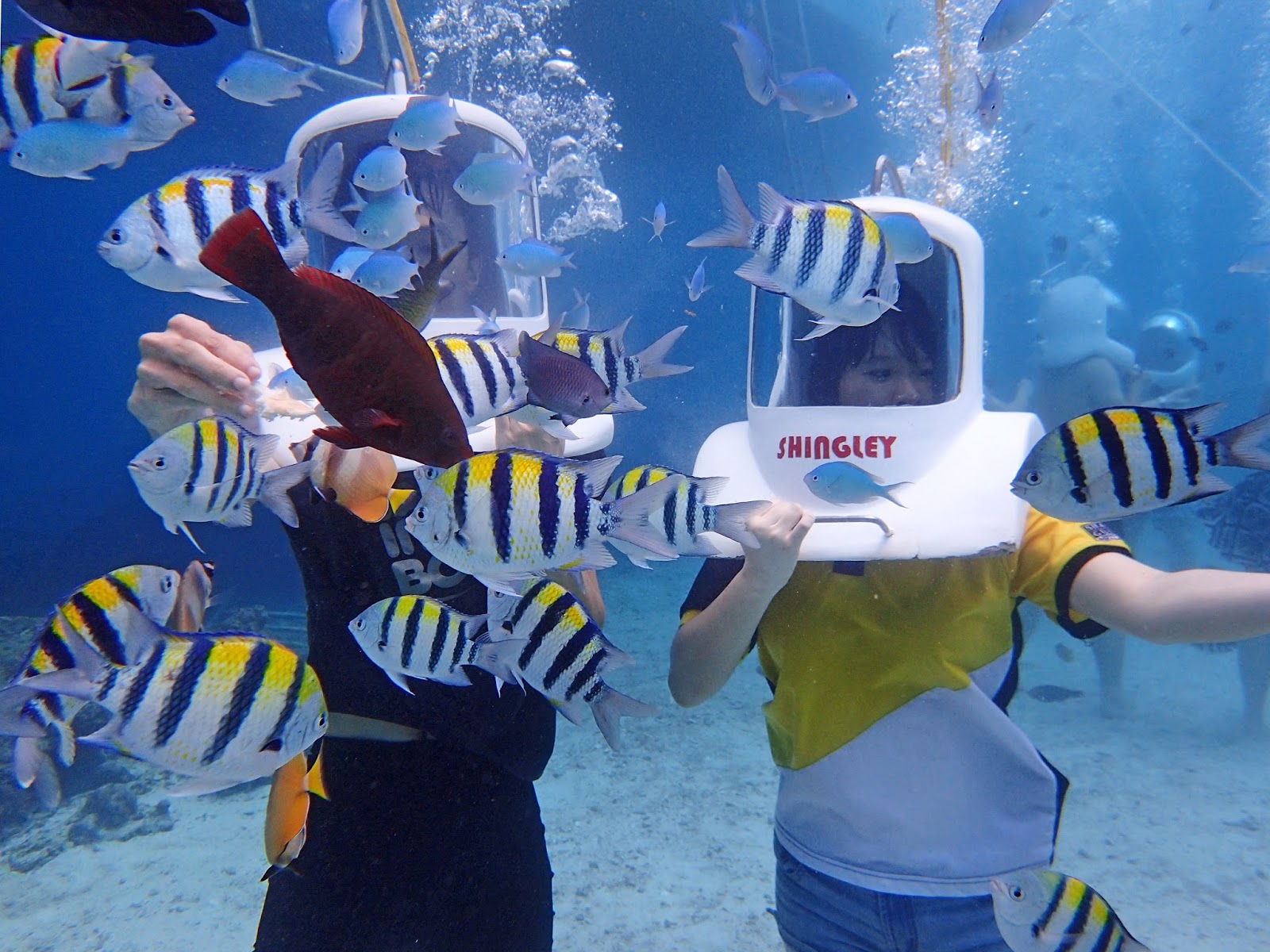 Trip To Boracay, Philippines: Helmet Diving - Just An Ordinary Girl