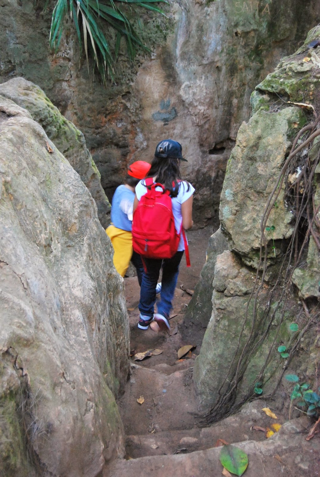 Le Grand Bazaar: Les Jardins Exotiques de Bouknadel... ou la journée ...