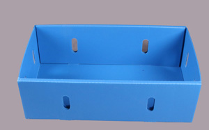 Correx Boxes Manufacturer And Supply
