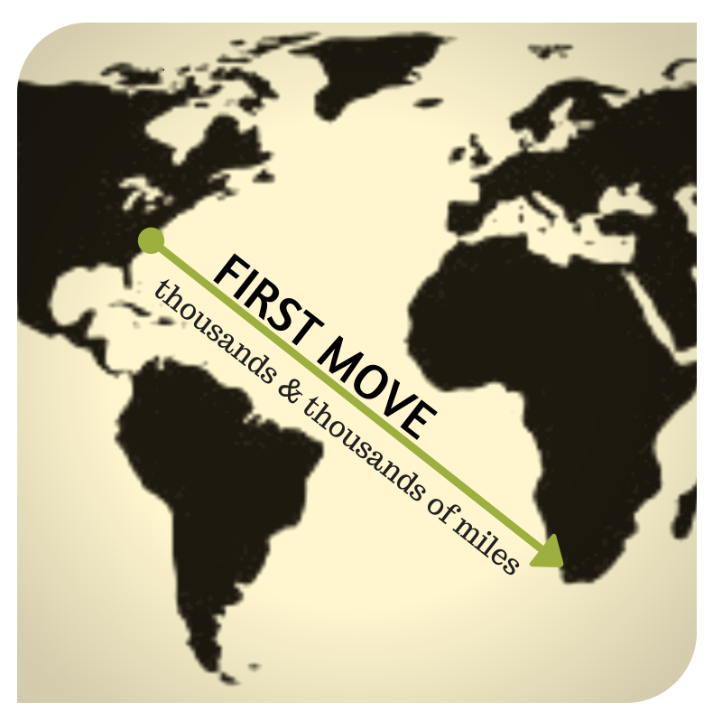 Seeing Life In A New Light