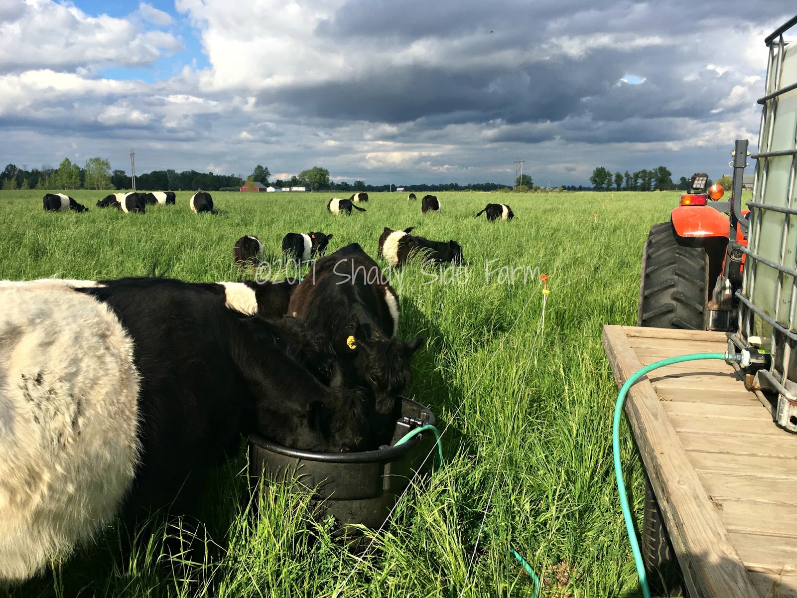 A New Strategy for Watering the Cattle: Work Smarter, Not Harder