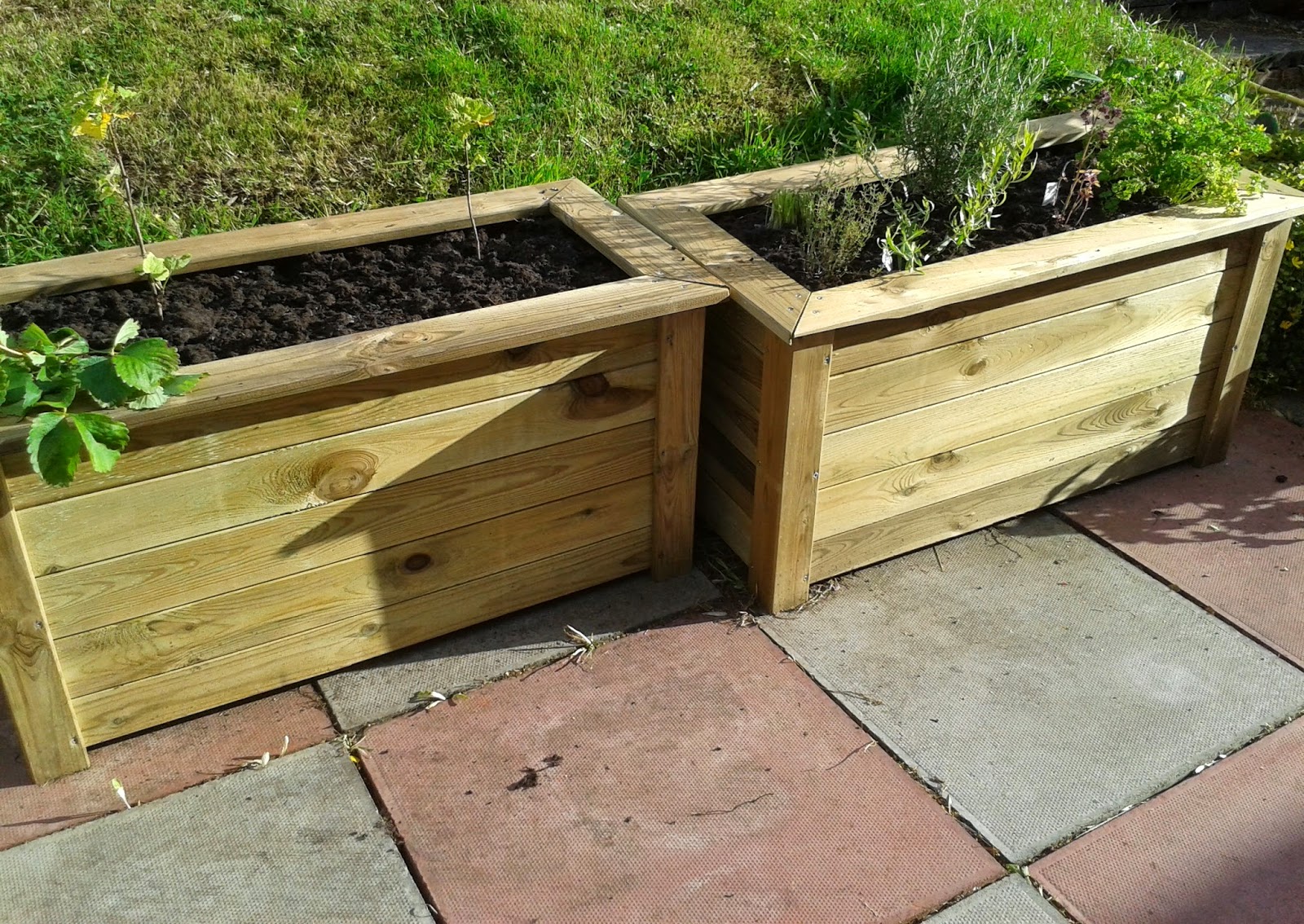 Creating the Herb and fruit planters