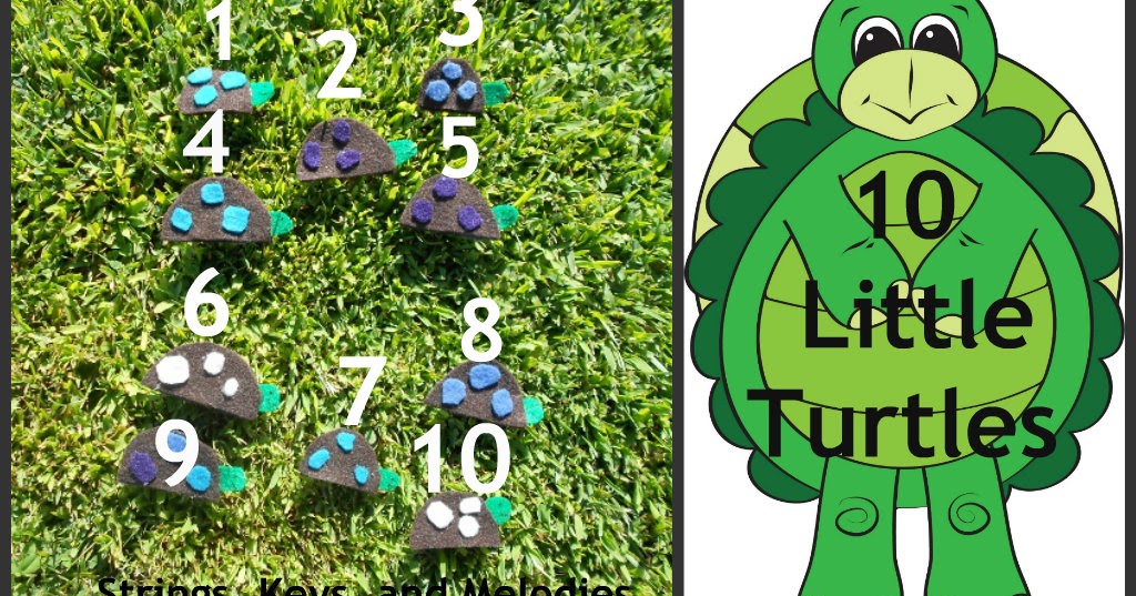 Strings, Keys and Melodies: Finger Play Fun Day : 10 Little Turtles