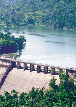 Biblioteca de la Escuela Alfredo Dorrington: Embalses y represas de PR