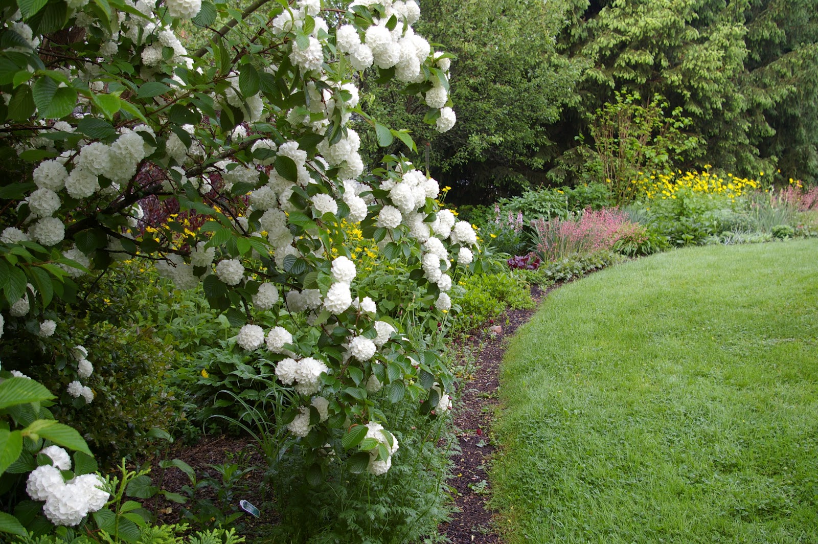 The DuBrule Diaries: Snowballs in May