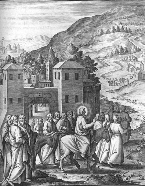 LiturgyTools.net: Pictures for the 6th Sunday in Lent (Palm / Passion ...