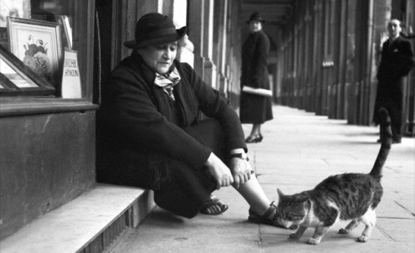 Art et glam: Colette, la passion des chats