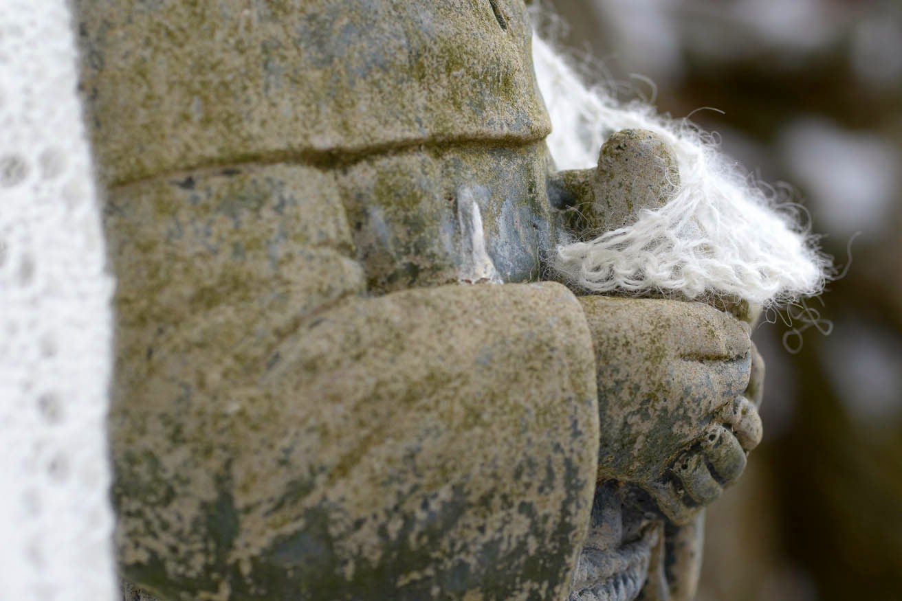 Punkin's Patch: From Under The Burled Arch