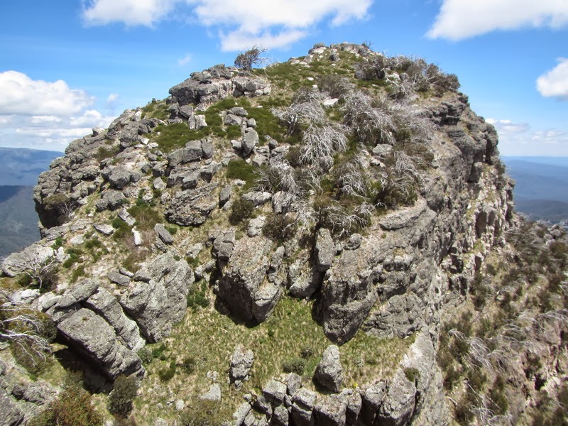 Dzung Nguyen's Blog: Mt Cobbler Walk