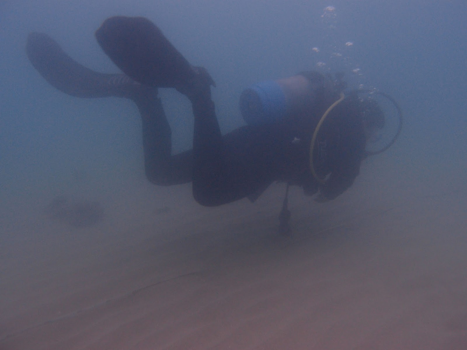 OKINAWA 39ers Dive Log: Kin Red Beach