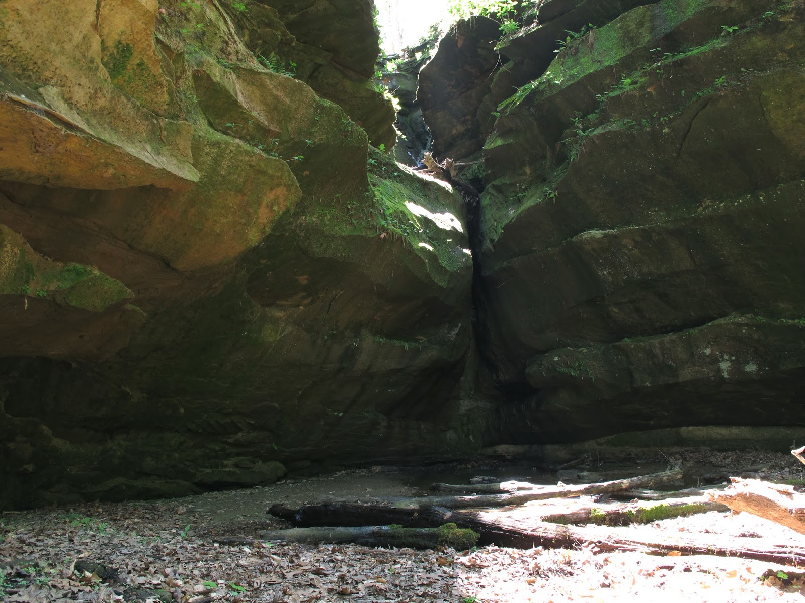 HEMLOCK & MESMORE CLIFFS - ADAM HAYDOCK