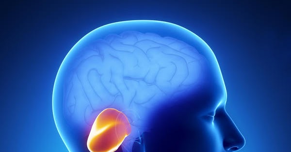 Cerebellar tonsillar ectopia Definition, Symptoms, Causes, Treatment ...