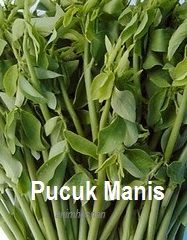 Anim Agro Technology: KHASIAT HERBA - CEKUR MANIS