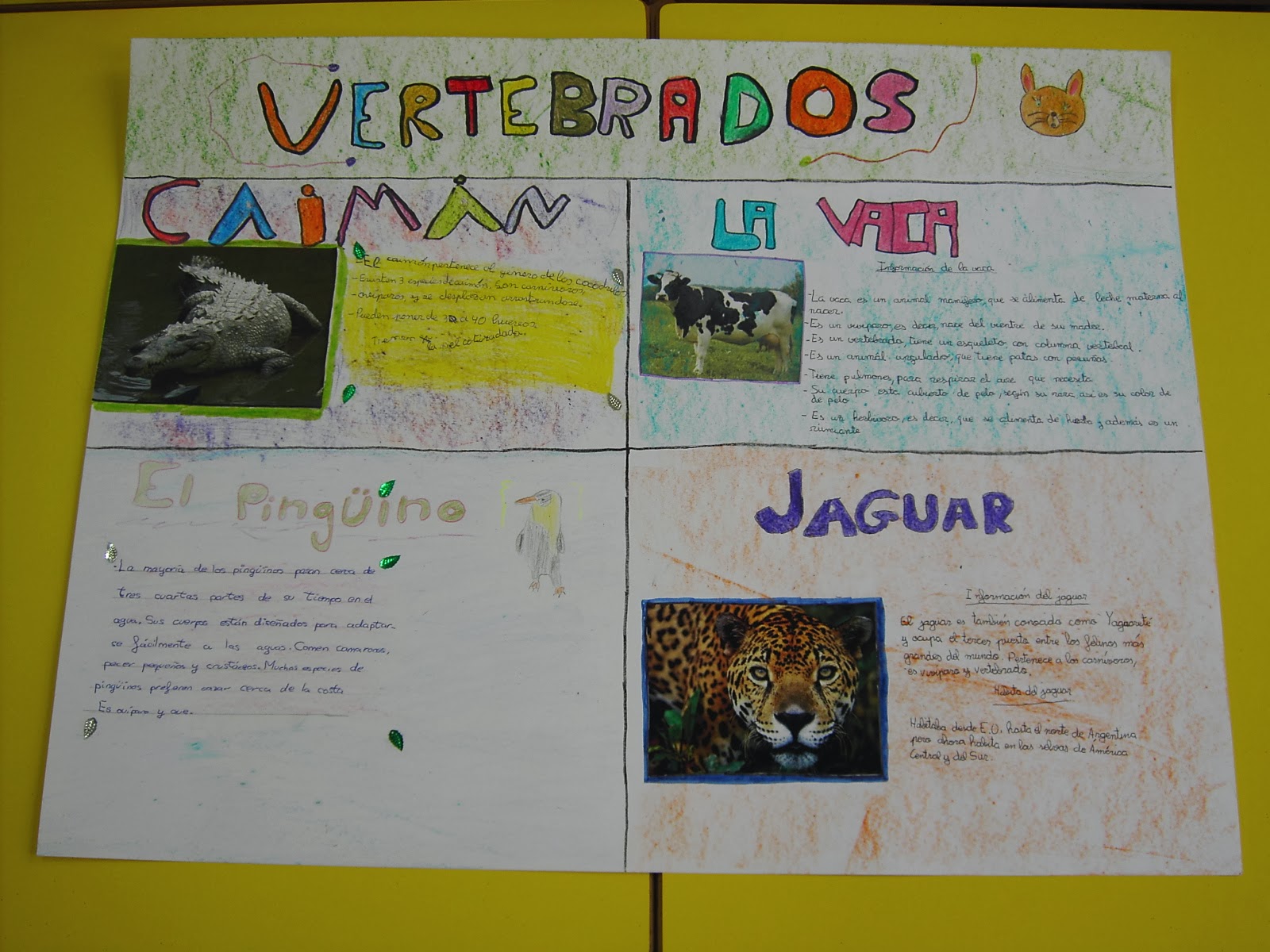 NUESTROS ANIMADORES: MURALES