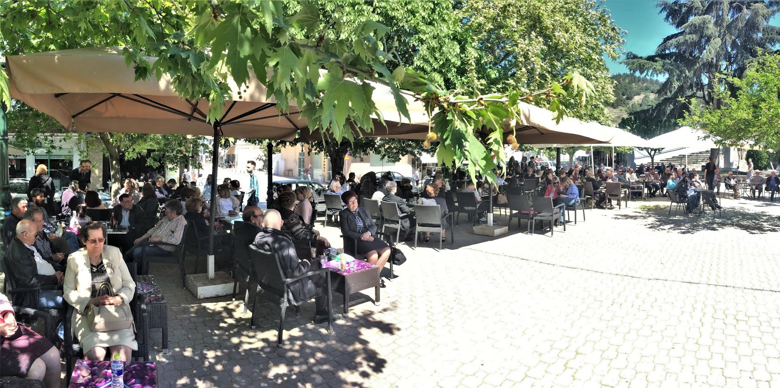 ΛΑΪΚΗ ΕΠΙΤΡΟΠΗ ΕΛΑΣΣΟΝΑΣ