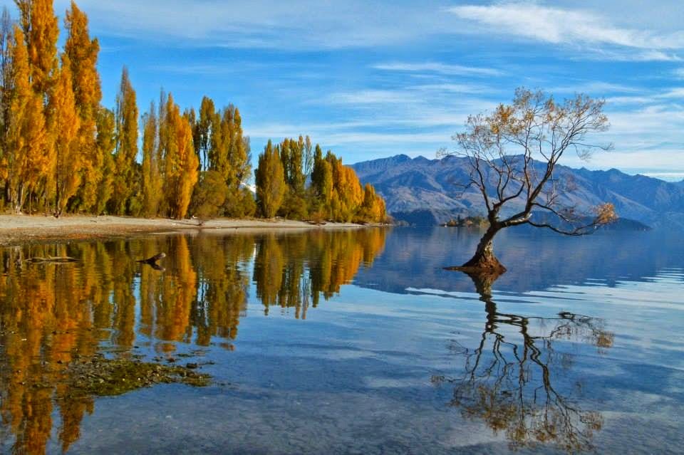 TodoCantoDoMundo: Lago Wanaka, na Nova Zelândia
