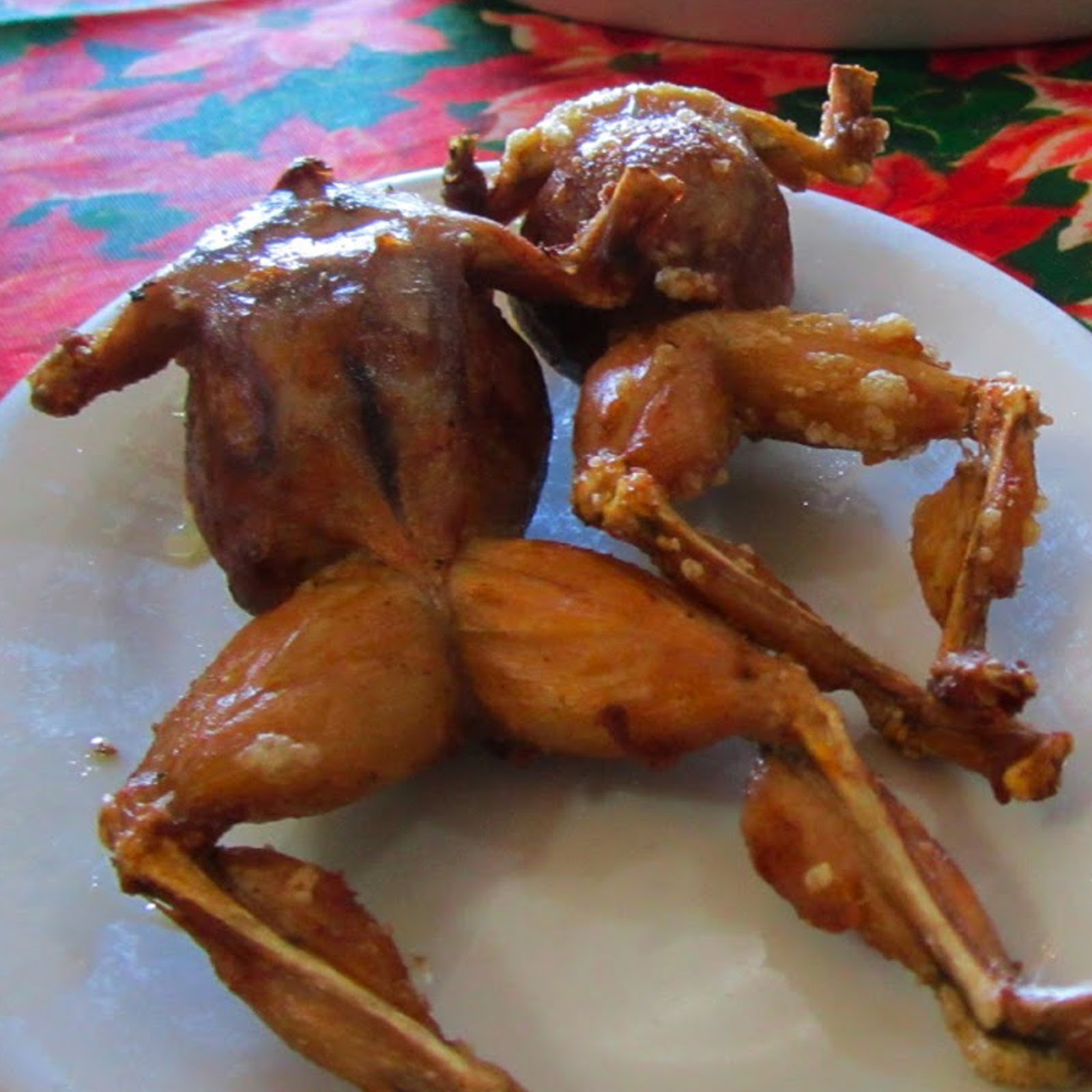 Betute Tugak | Pinasgram: Capturing the Philippines in Photographs