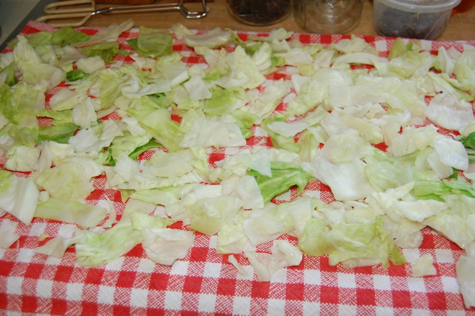 Perky Prepping Gramma: Dehydrating cabbage...