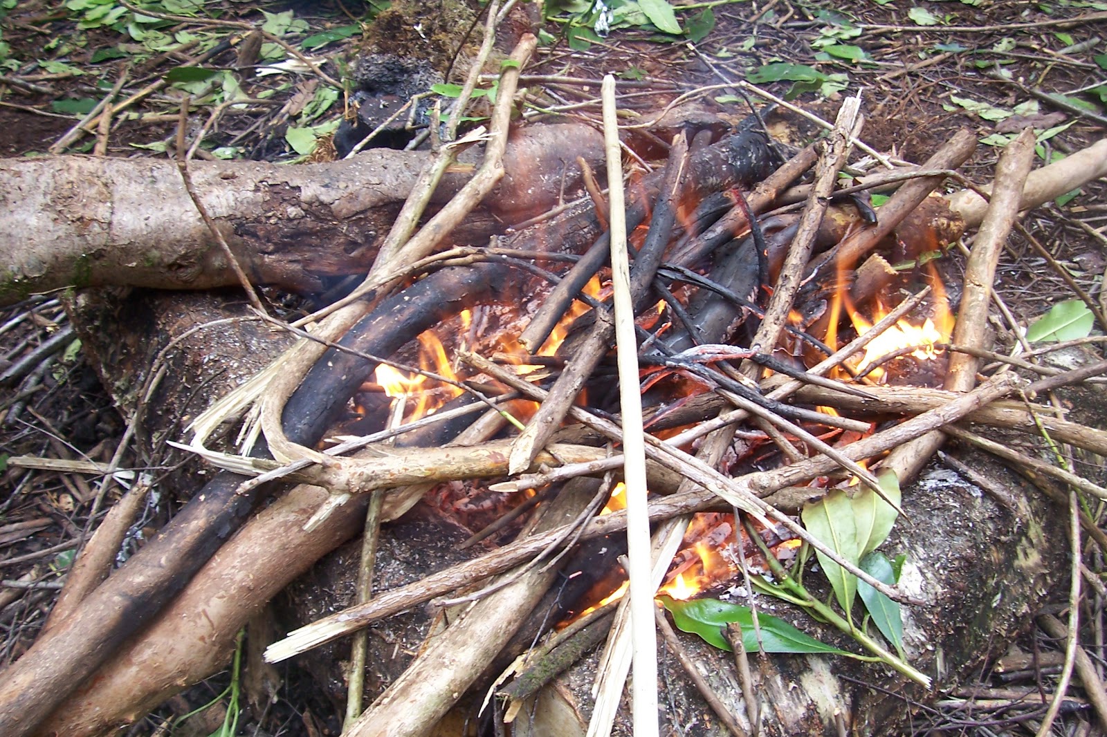 BUZZARD BUSHCRAFT: Primitive Arrows