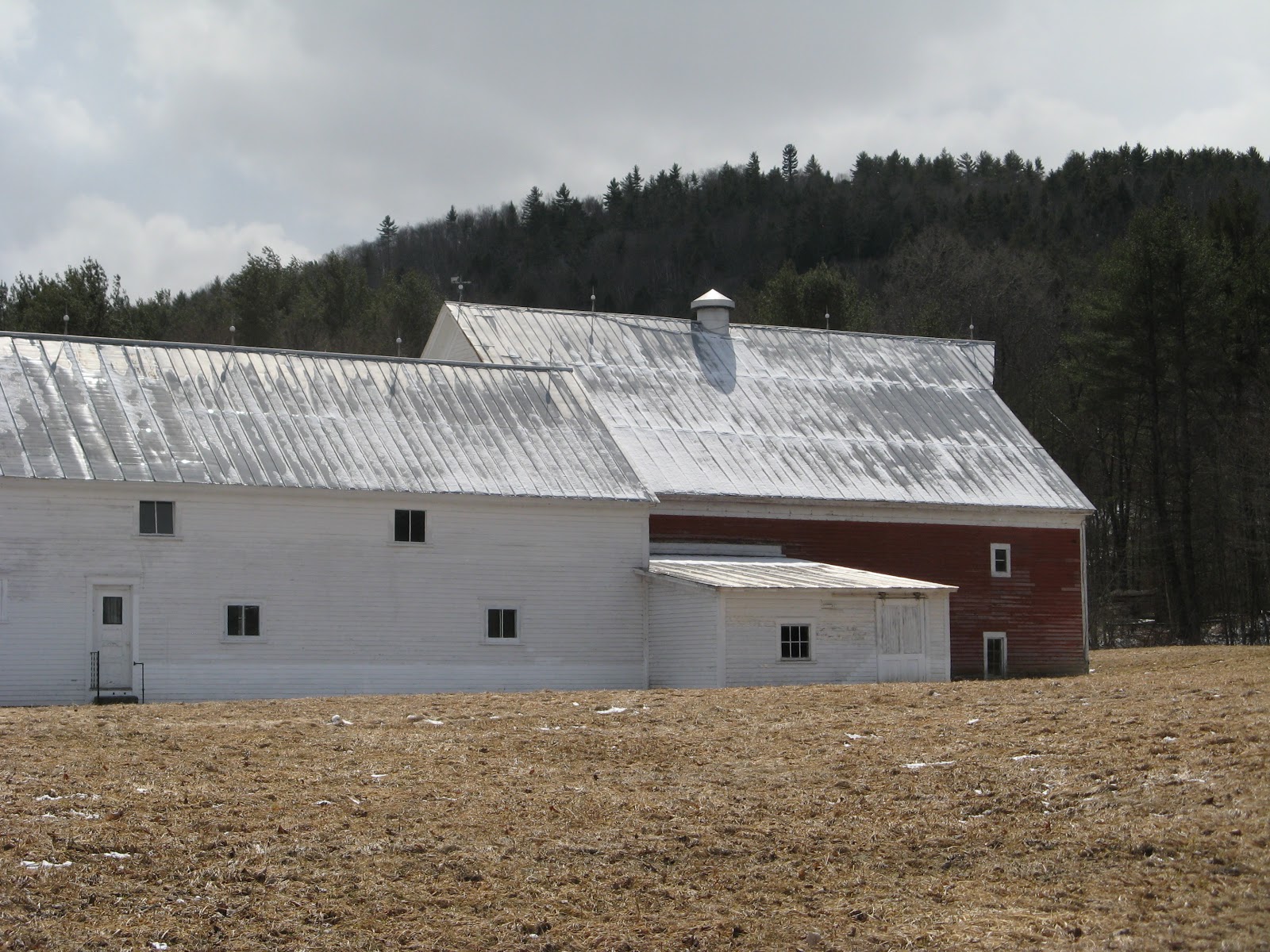 Animal Instinct: April Barns