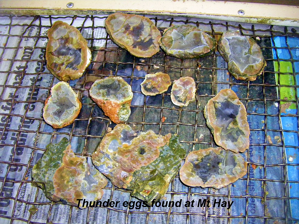 Travel With Me: Mt Hay Queensland