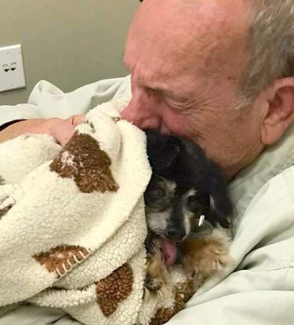 This man lost his beloved dog: In his grief, he died of a broken heart 😥