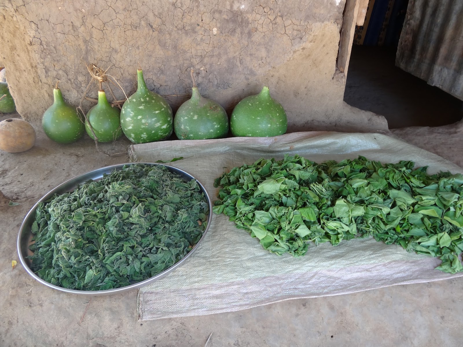 Word and Seed in Uganda: Eating Lablab Leaves