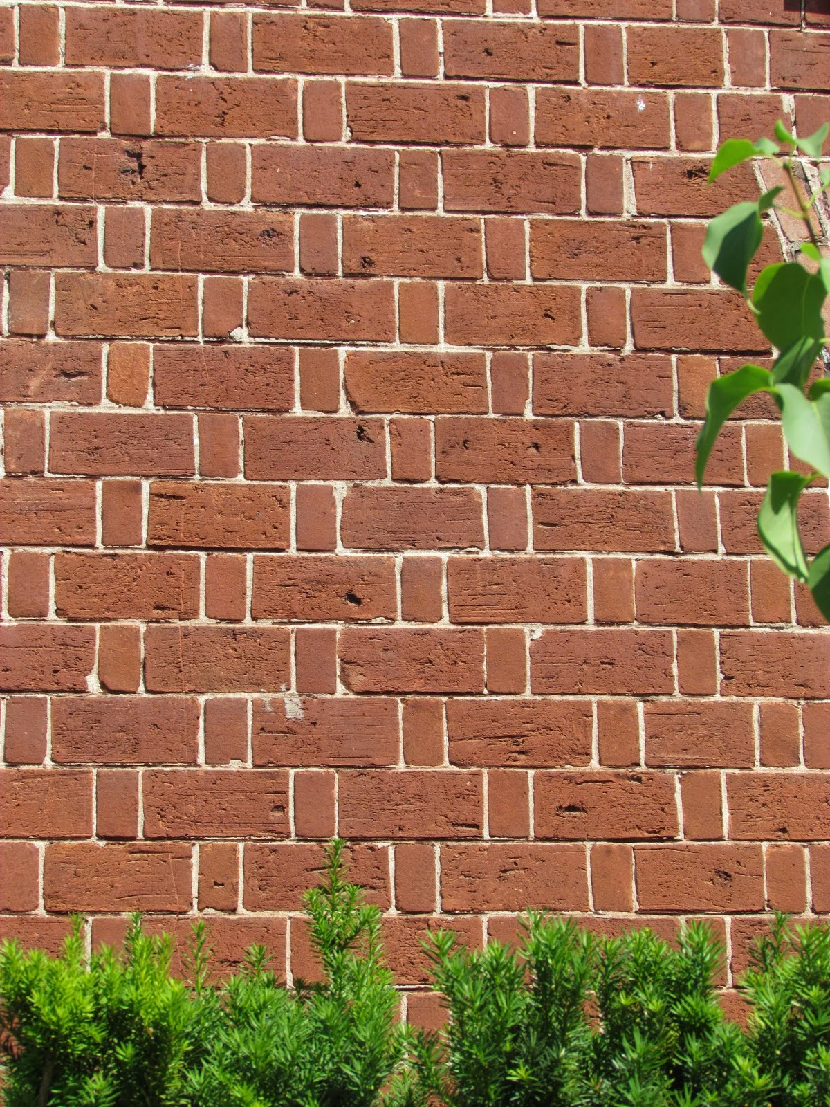 ancestral roofs: Row row row